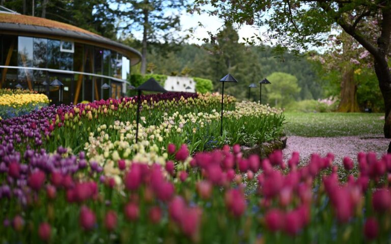 2 Days in Victoria: How to Plan a Victoria Weekend Itinerary - Victoria ...