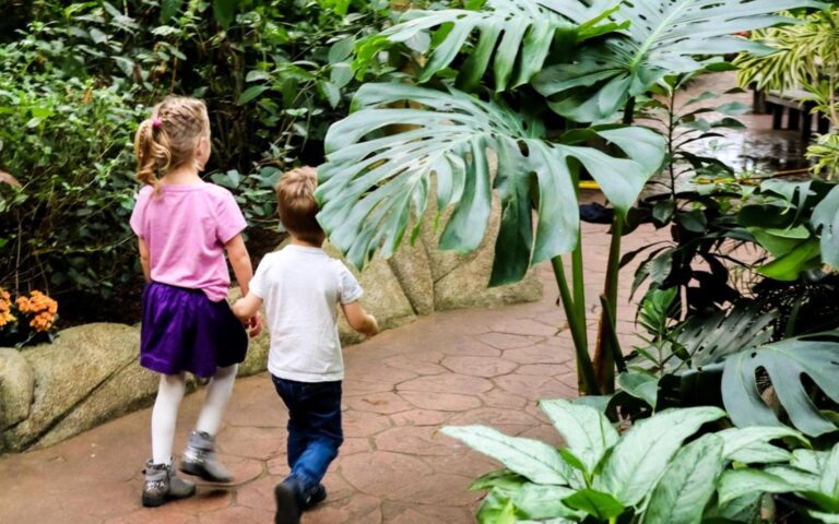 Victoria Butterfly Gardens: An Island Tropical Paradise