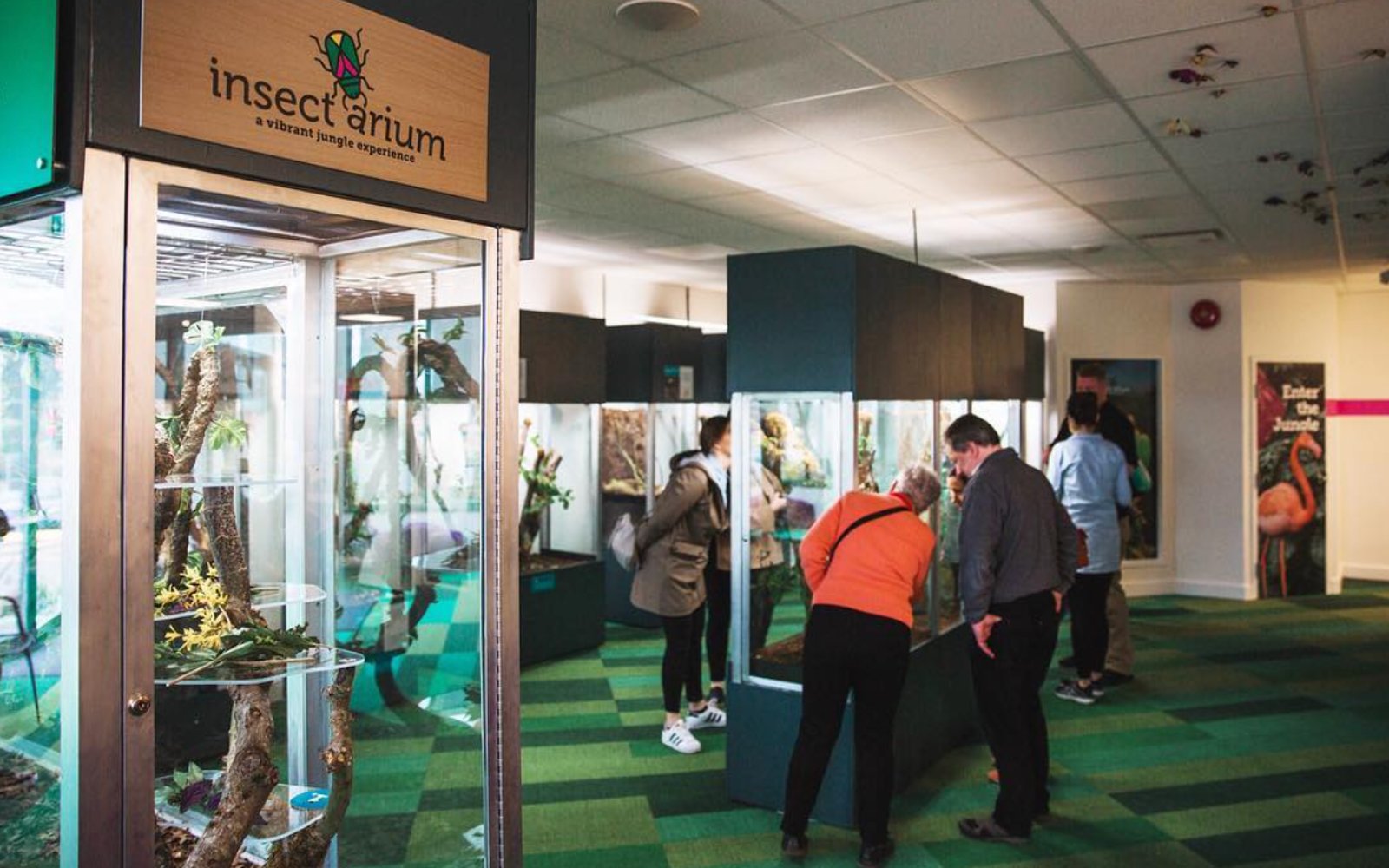 Victoria Butterfly Gardens: An Island Tropical Paradise