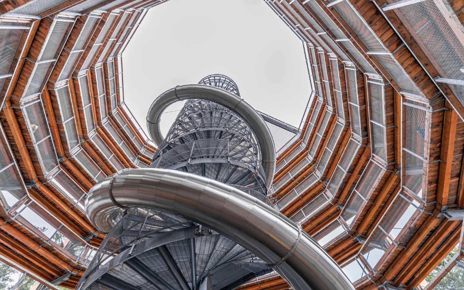 A Complete Guide to Visiting the Malahat Skywalk in 2025 - Victoria ...