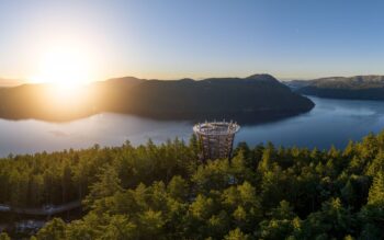A Complete Guide to Visiting the Malahat Skywalk in 2025 - Victoria ...