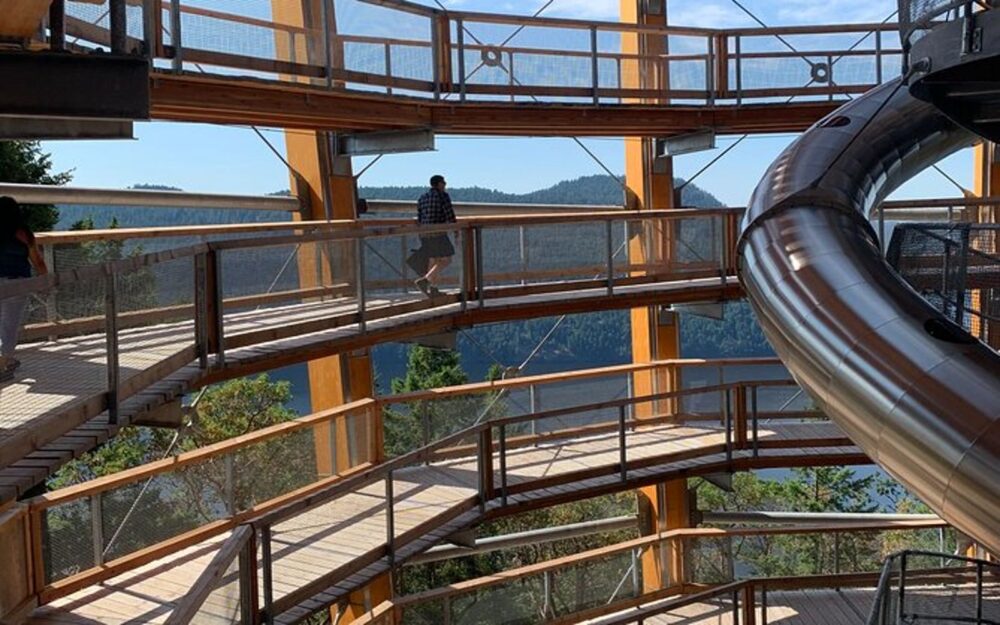 A Complete Guide to Visiting the Malahat Skywalk in 2025 - Victoria ...