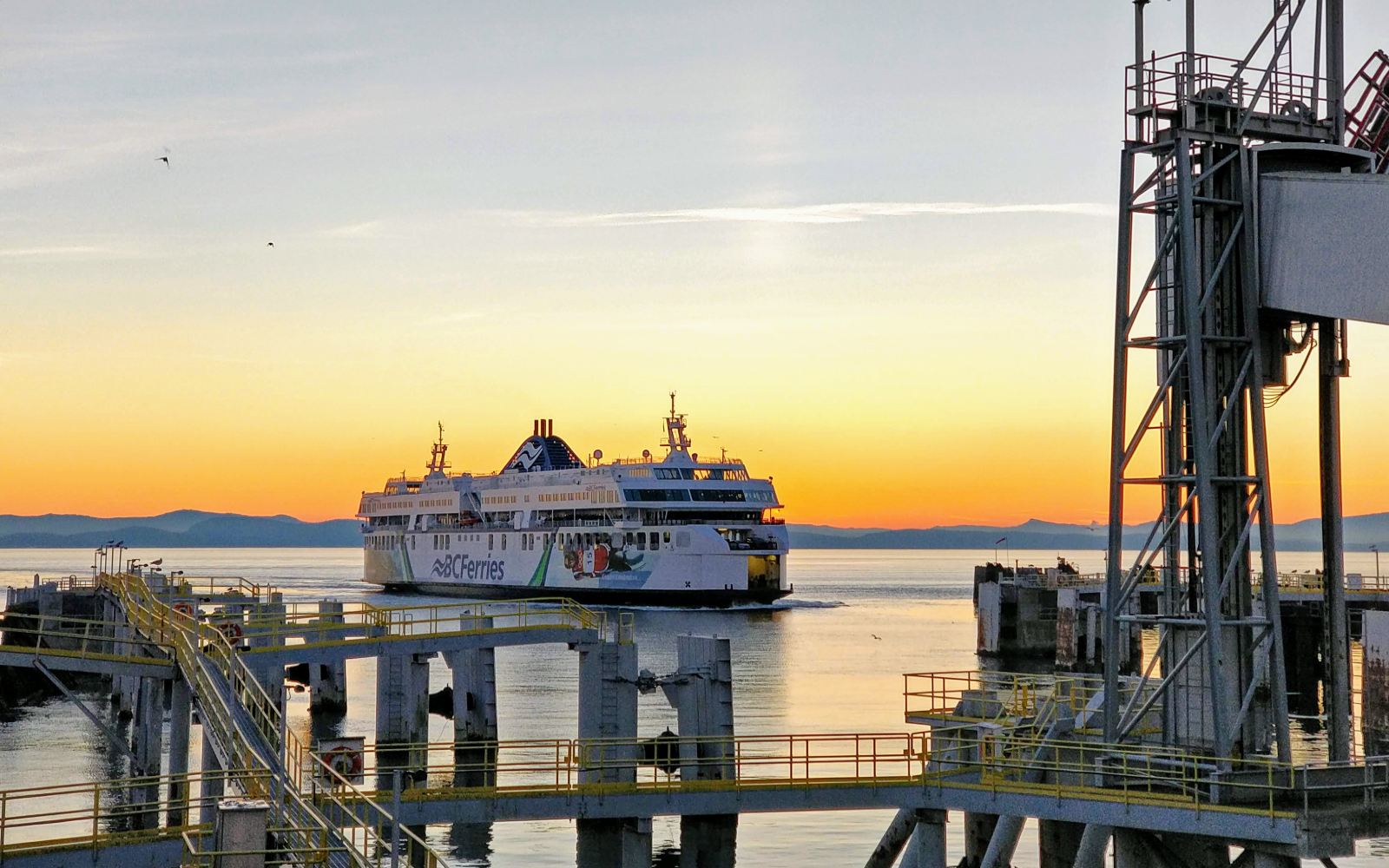 Vancouver to Victoria Ferry Guide: Schedules & Prices (2025)