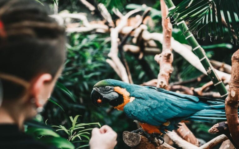 Victoria Butterfly Gardens: An Island Tropical Paradise