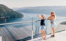 A Complete Guide to Visiting the Malahat Skywalk in 2025 - Victoria ...