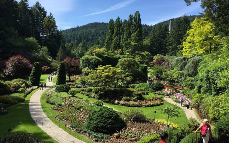 The Best Victoria Parks & Gardens: A Guide to Outdoor Bliss