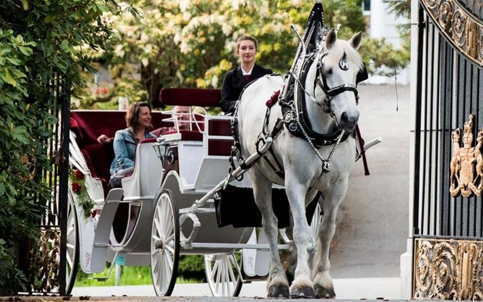 Beacon Hill Park Victoria: A Treasure Trove of Natural Wonders