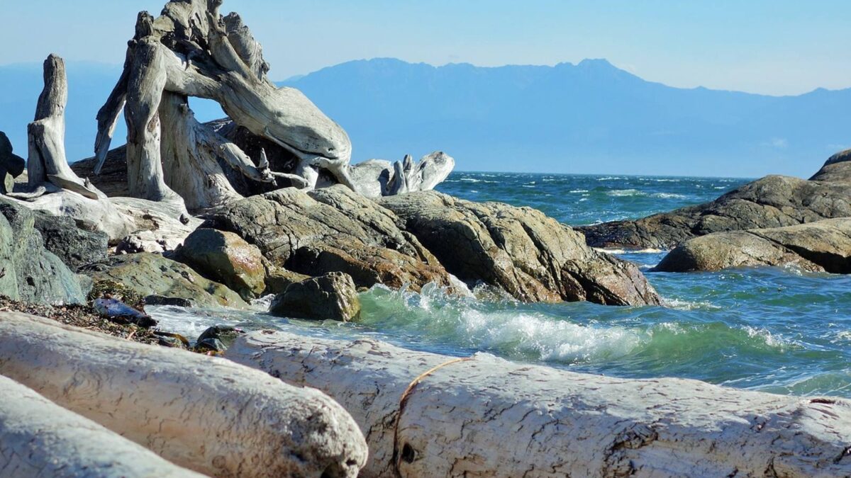 How To Get To Butchart Gardens From Victoria: No Car, No Problem ...