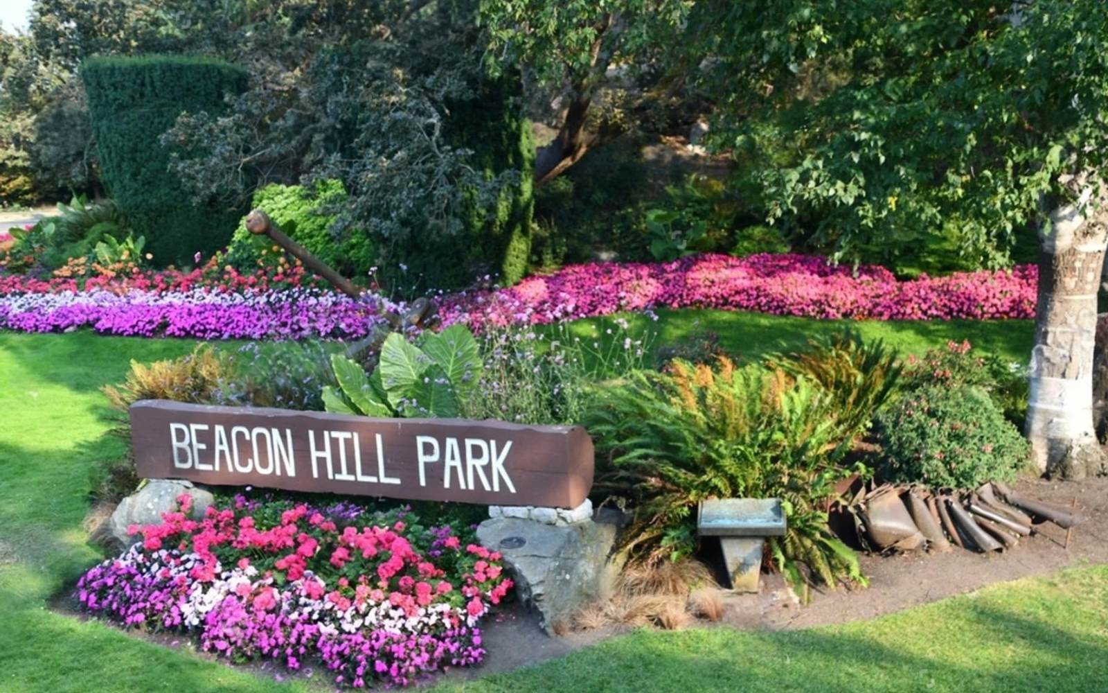Beacon Hill Park Victoria: A Treasure Trove of Natural Wonders