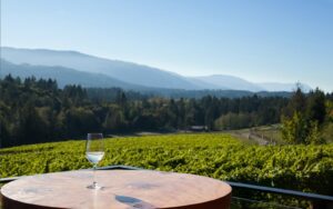 Cowichan Valley Wineries: Where to Sip, Taste & Explore