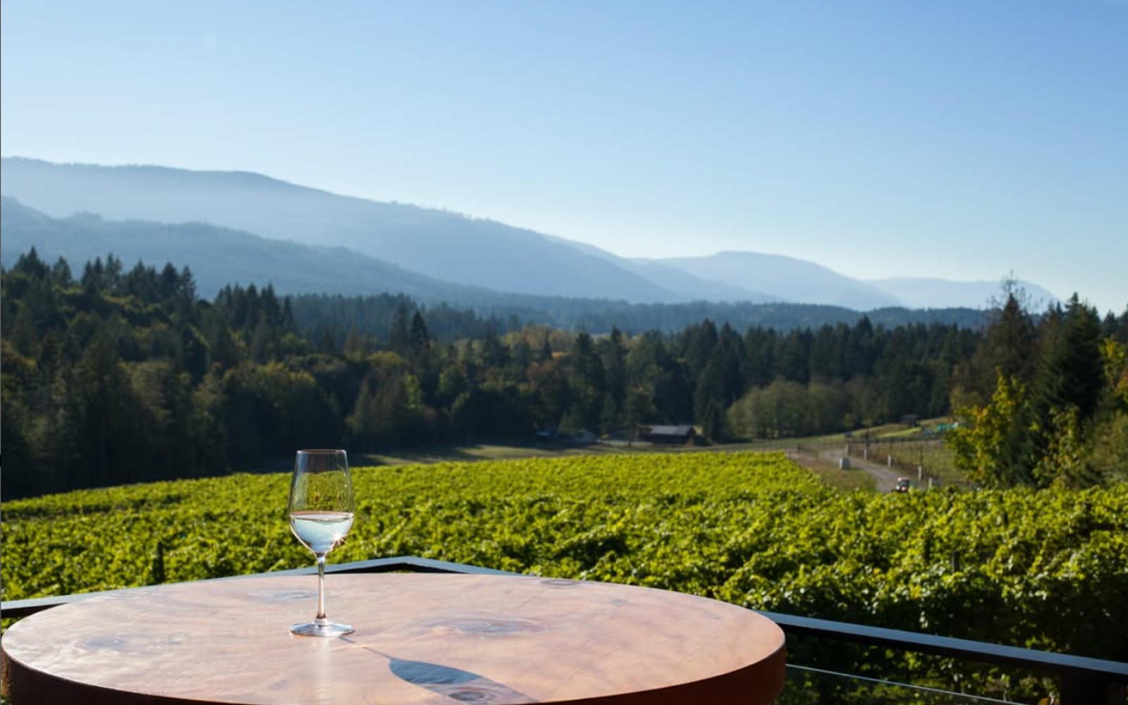 Cowichan Valley Wineries: Where to Sip, Taste & Explore