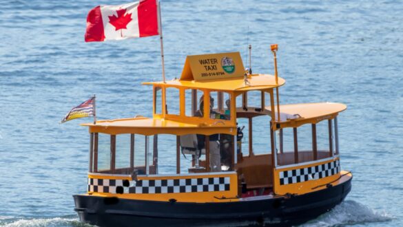 The Victoria Hop On Hop Off Bus: The Ultimate Sightseeing Solution