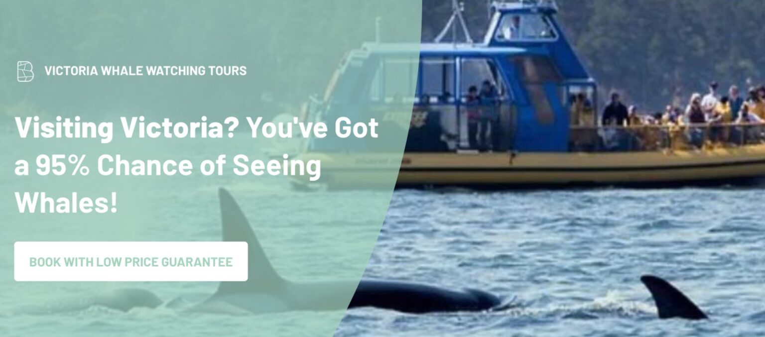 Victoria In Spring 2025: From Cherry Blossoms to City Charms