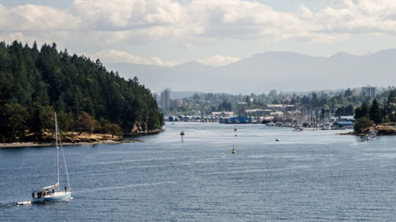 Cowichan Valley Wineries: Where to Sip, Taste & Explore