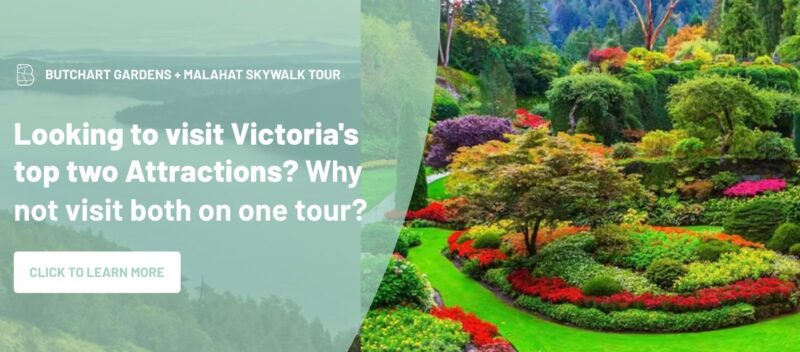 Victoria BC Tours from Cruise Port: The Top Shore Excursions